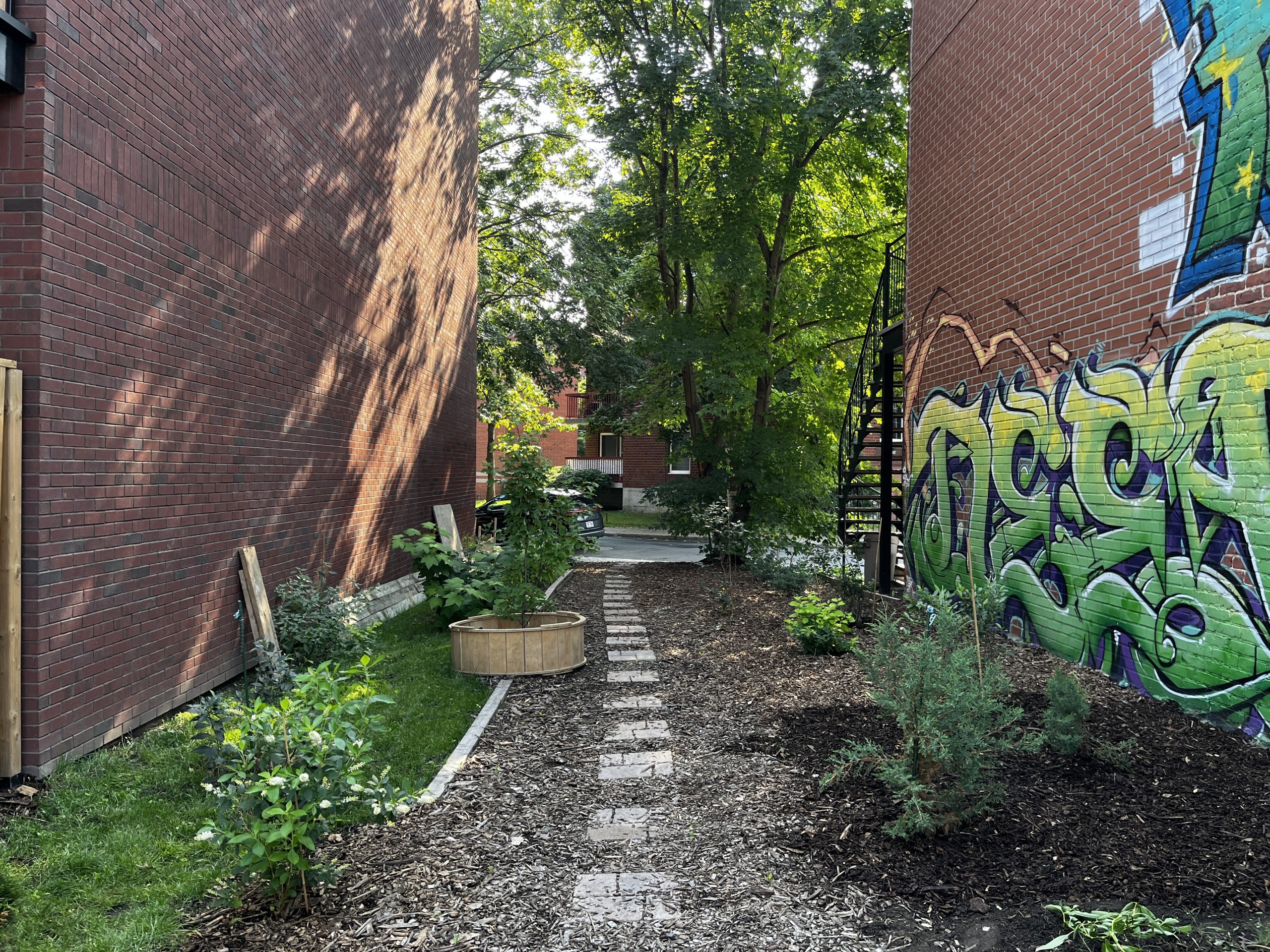 Un bilan inspirant pour les ruelles vertes et sécurisées en 2024 ...