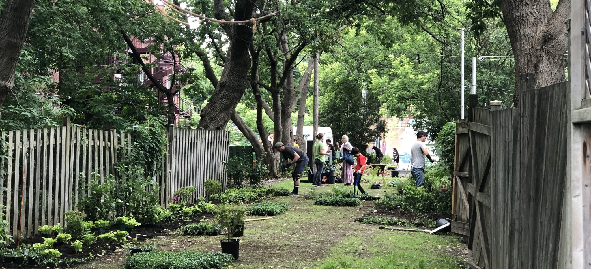 Ruelles vertes - Groupe Pro Vert