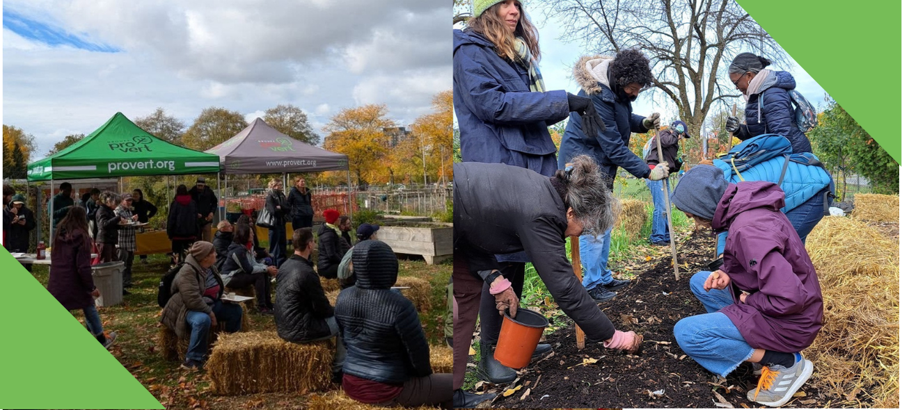 Planter l’ail, cultiver les liens - Groupe Pro Vert